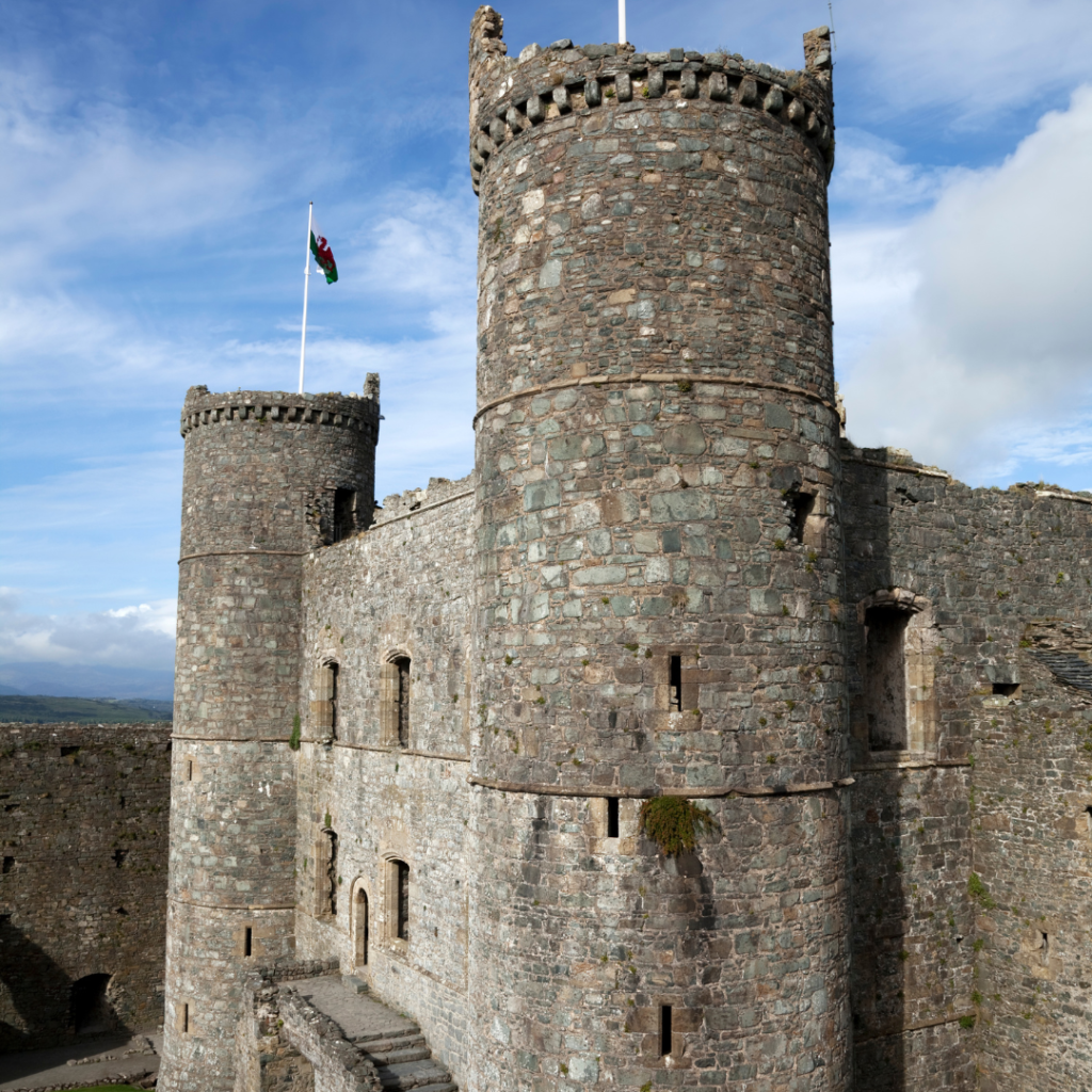 A Castle and Its Flag Compared to a DEI Leader And Their Organization ...